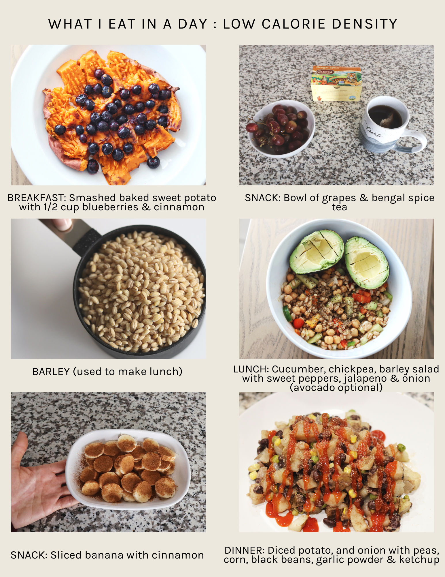 A Full Day of Low Calorie Density Meals (January 13th, 2021 ...