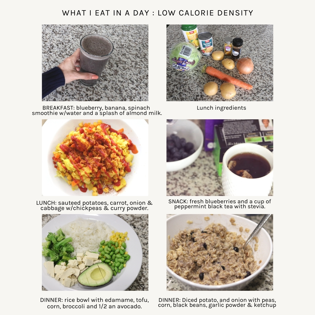 A Full Day of Low Calorie Density Meals – (February 17th, 2021 ...