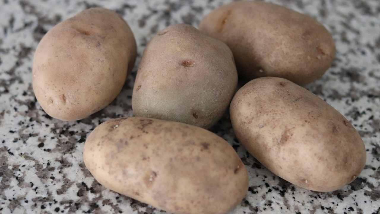 Easy Sunday Afternoon Food Prepping for the Week – Low Calorie Density ...